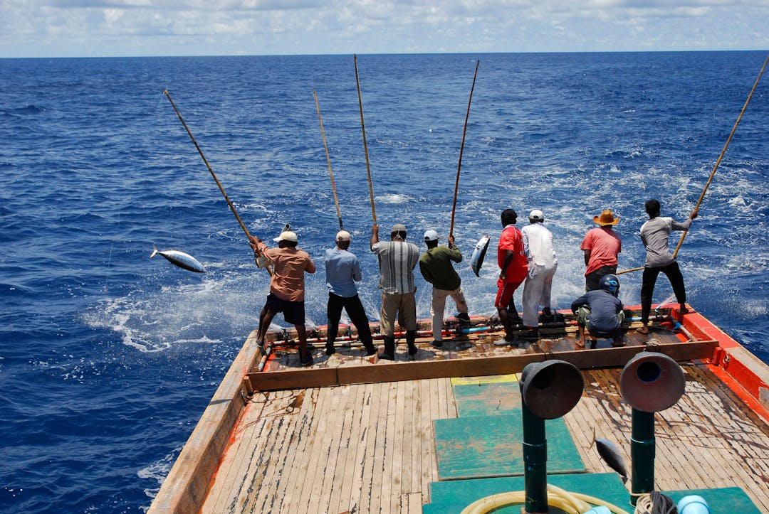 Sinking islands, rising costs: The Maldives’ race against climate change