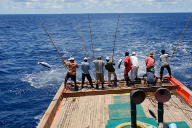 Sinking islands, rising costs: The Maldives’ race against climate change