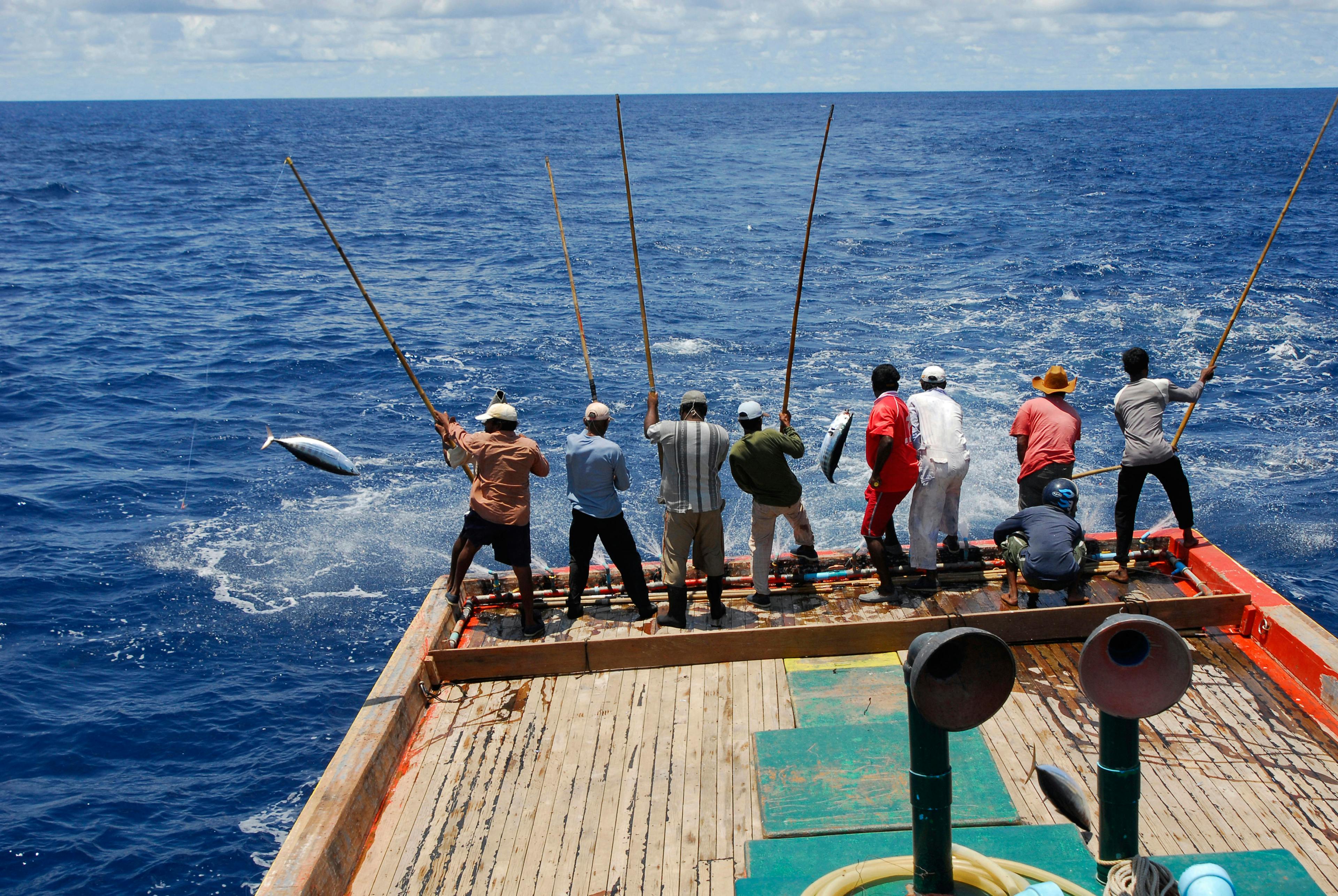Sinking islands, rising costs: The Maldives’ race against climate change