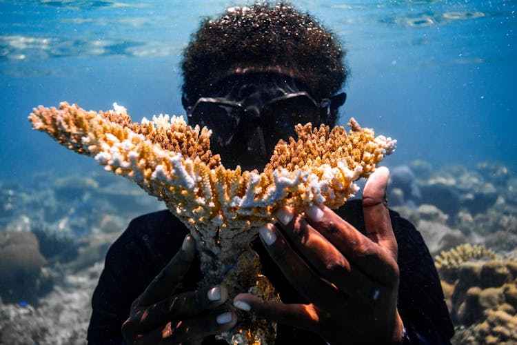 Branching out through coral reef restoration in Fiji